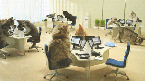 Animals in the Workforce: These 9 Skilled Creatures Have Jobs – Fur ...